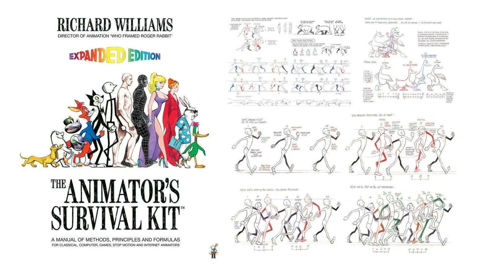 Top 5 Best Books For a 2D Animator - Animationclub School