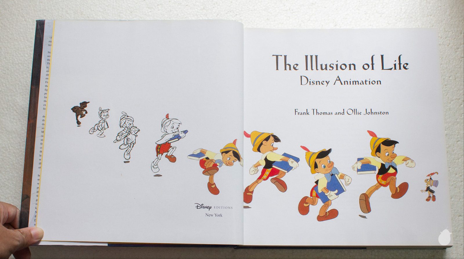 Top 5 Best Books For a 2D Animator - Animationclub School