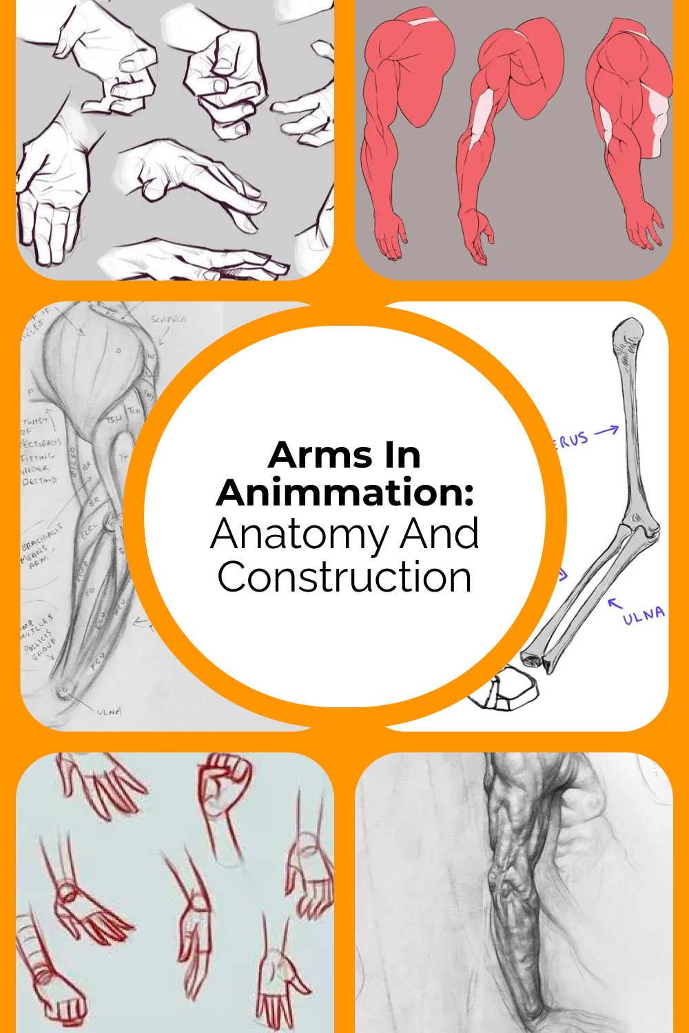 How to Draw Arms in Animation: Anatomy and Construction - Animationclub ...