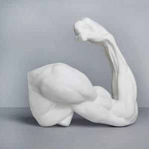 How to Draw Arms in Animation: Anatomy and Construction - Animationclub ...